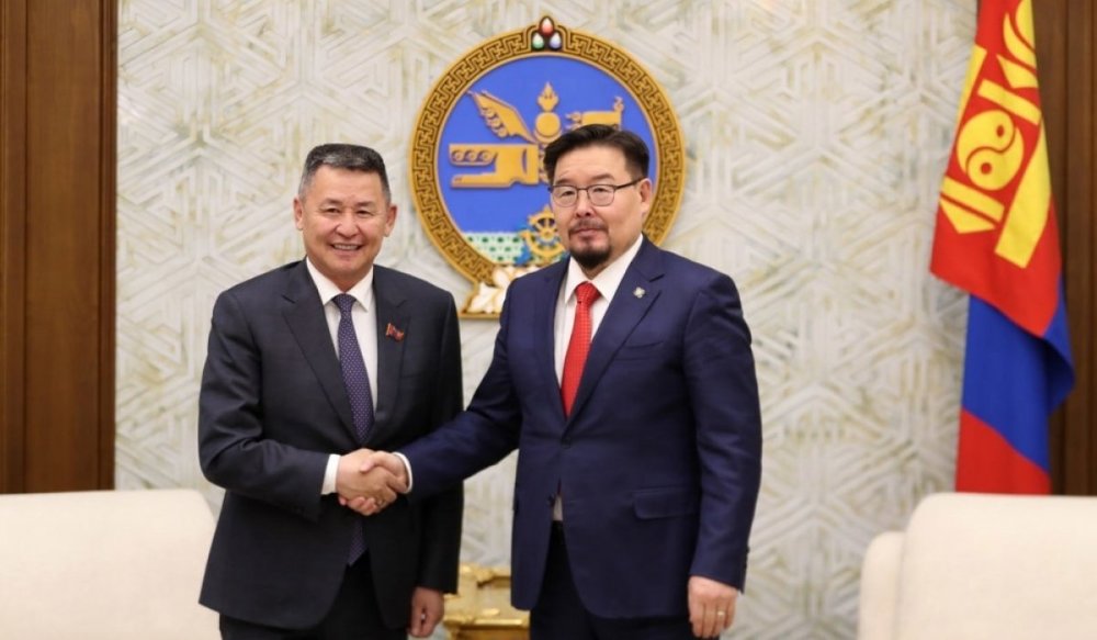 Эрдэнэс Тавантолгой ХК ийн хувьцааг буцаан олгох төсөл санаачилжээ